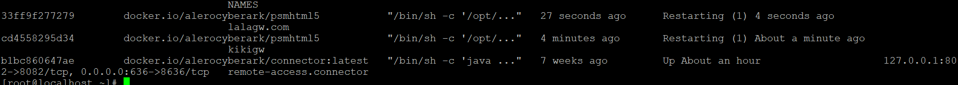 Cyberark Remote Access Html5 Gateway Container Stuck In Restarting X