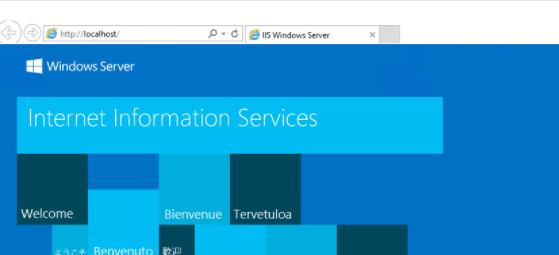 How to disable IIS default page on PVWA server