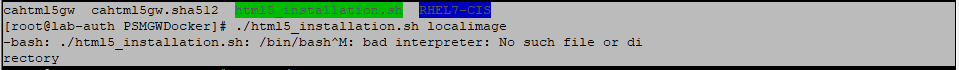 HTML5: Installation error, '/bin/bash^M bad interpreter'