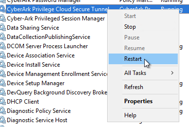 Proxy Configuration in Privilege Cloud