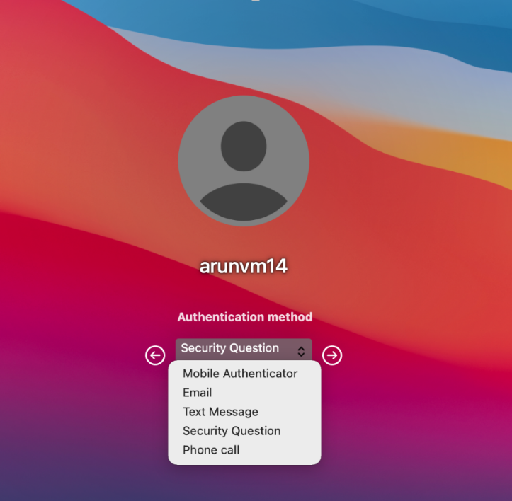 How to enable the Idaptive login screen on Big Sur for MFA