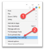 PSMShadowUsers to use IE Proxy Settings in IE 11