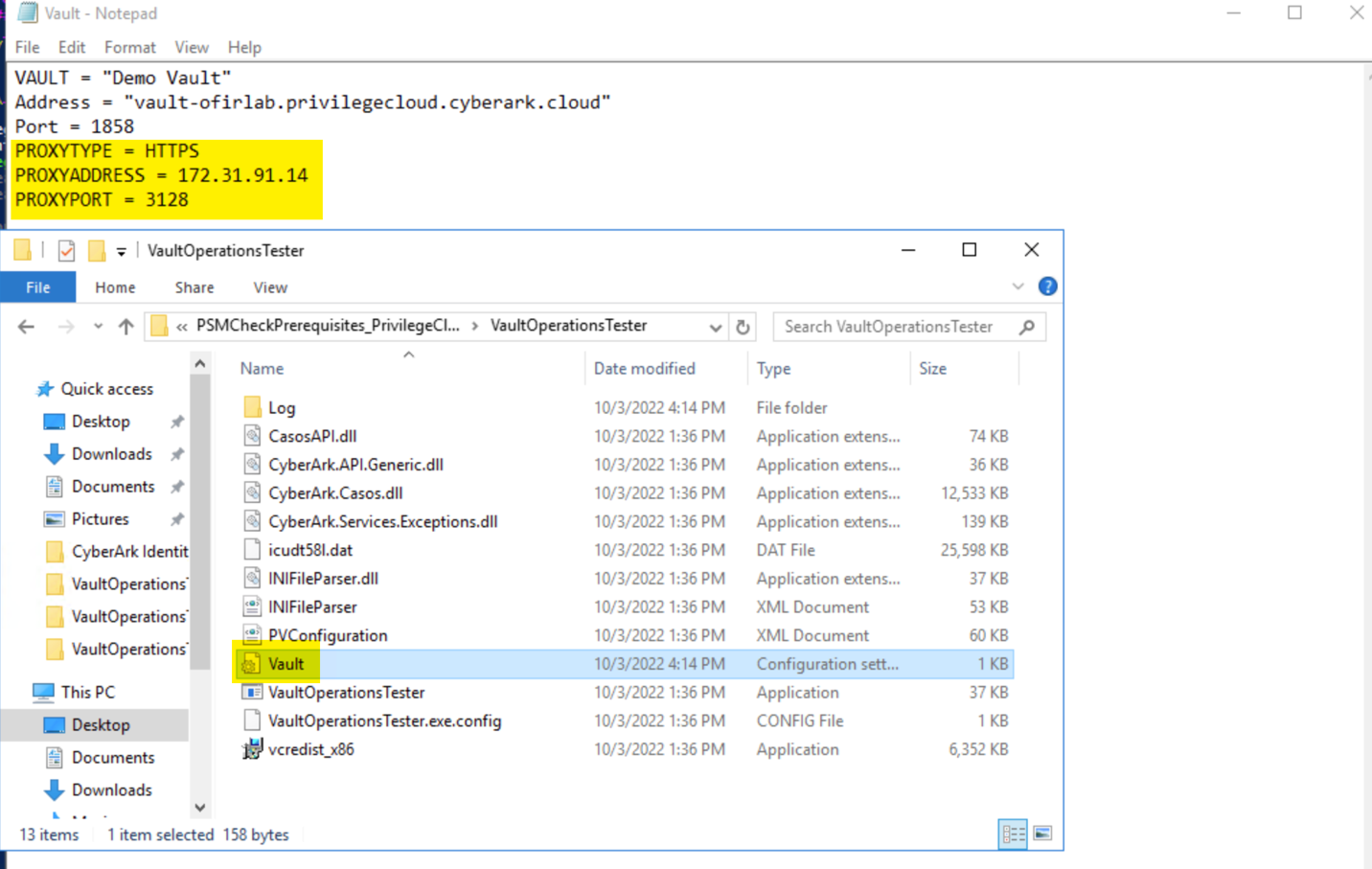 Proxy Configuration in Privilege Cloud
